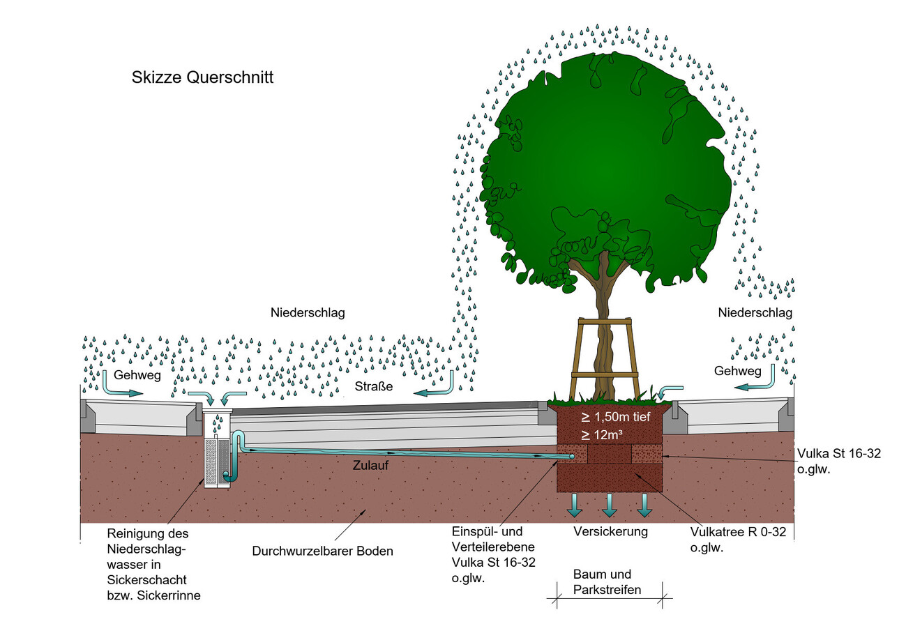 Schwammstadt und Rigolen – wirklich nur Vorteile? - Das Magazin für ...