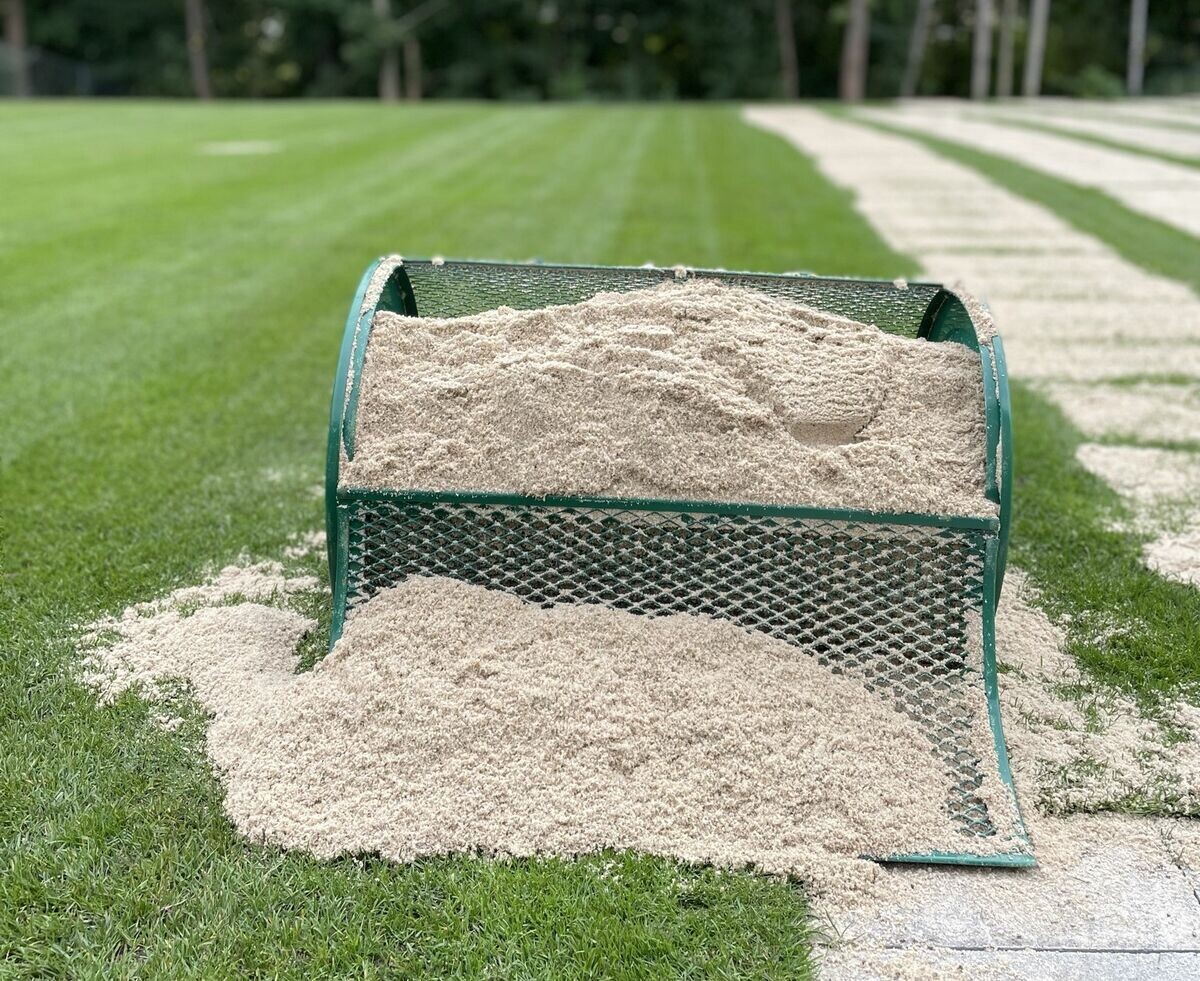 Warum der richtige Rasensand den Unterschied macht - Das Magazin für ...